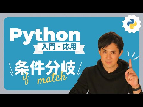 【Python入門・応用】11.条件分岐｜条件に応じて処理を分ける「条件分岐」をマスター！if文やmatch文について説明（初心者にもわかり ...